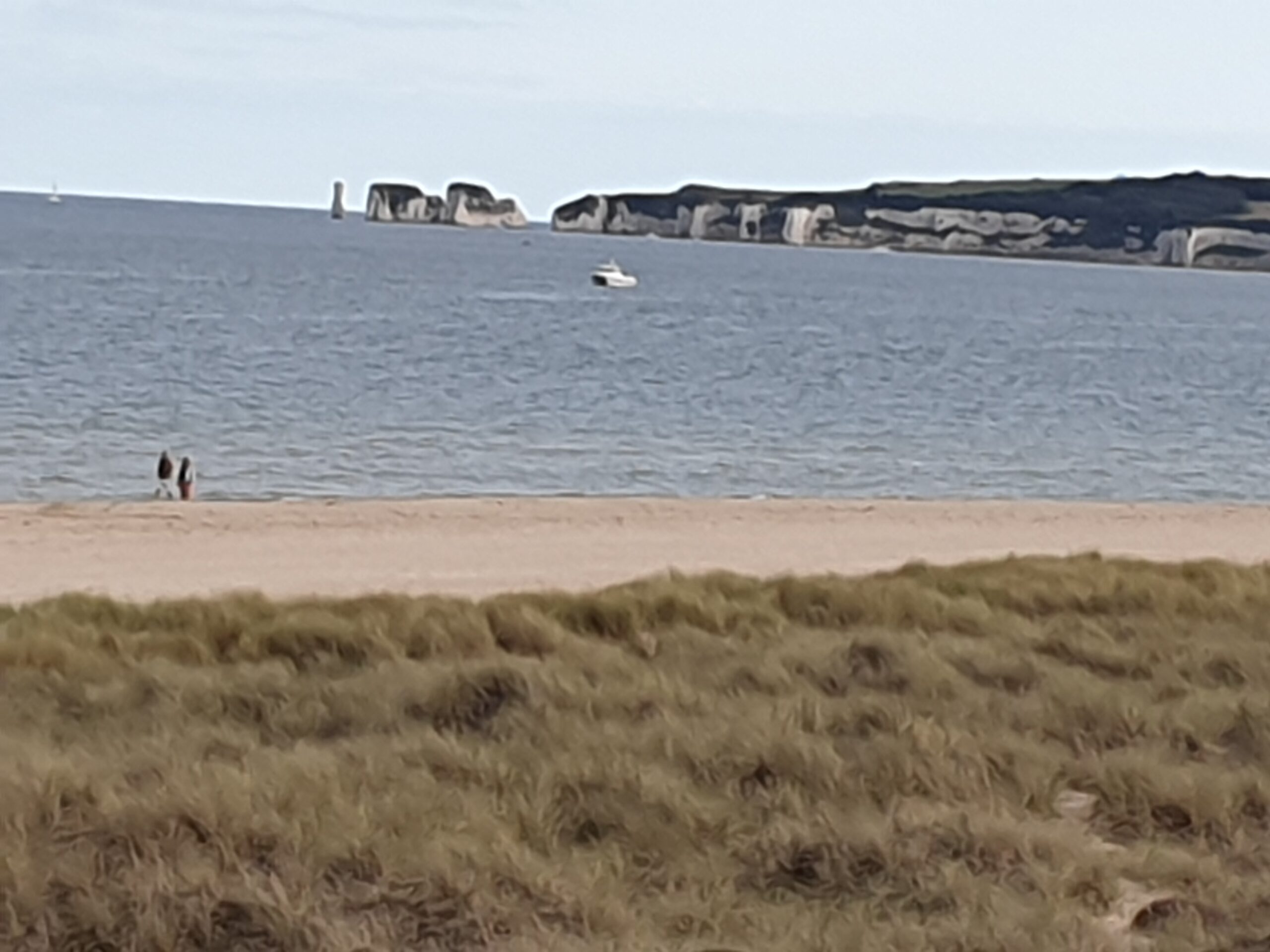 Membership explained..................... - WALX Online Store