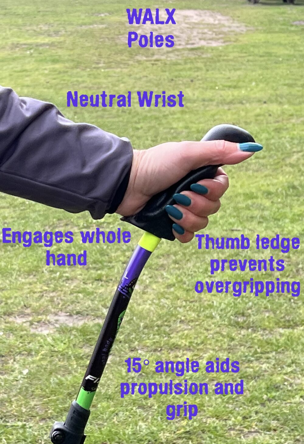 WALX Velocity Total Body Walking Poles (Pair) - Strapless Poles