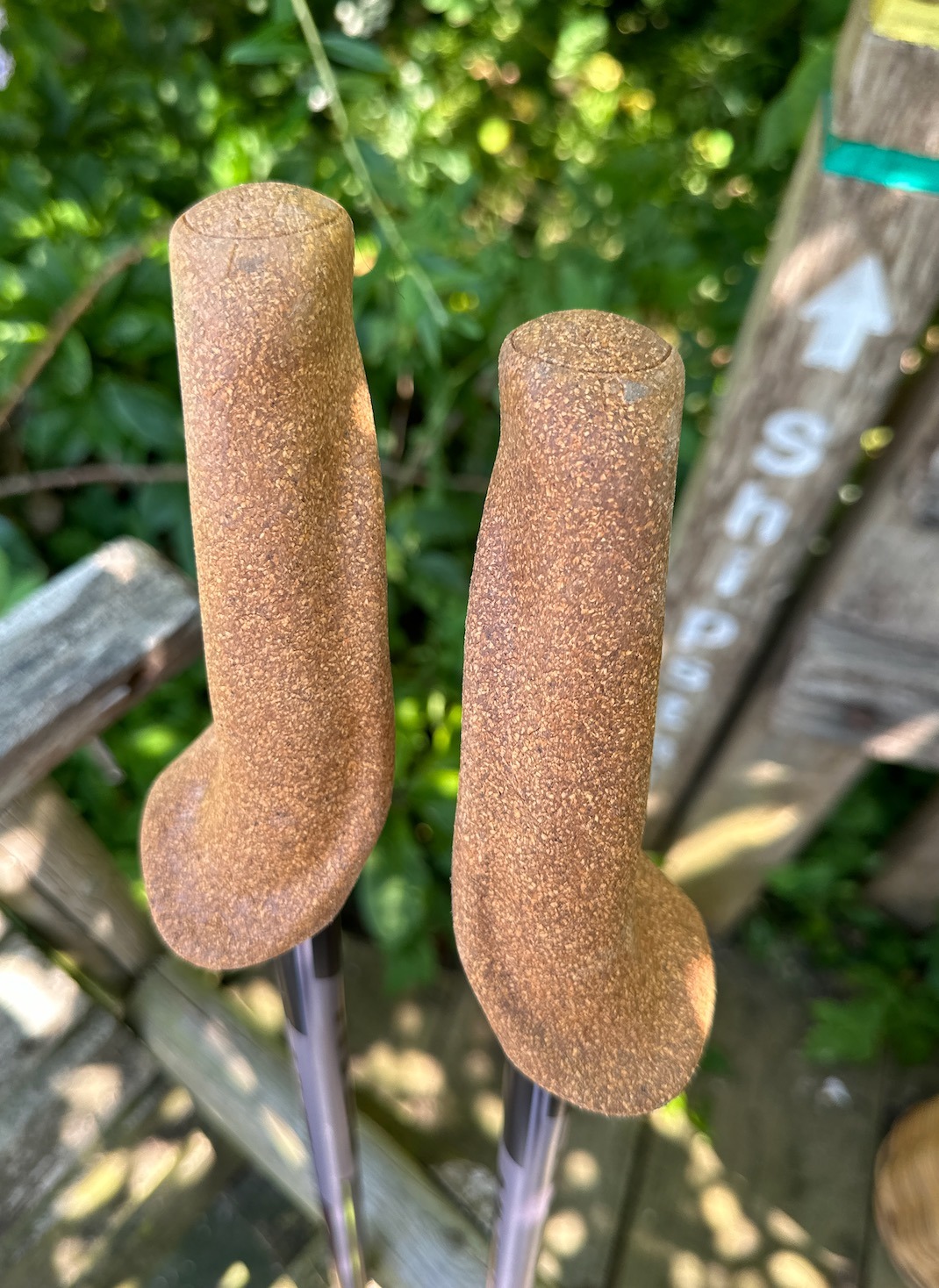 Strapless Fitness poles Walking Poles from WALX